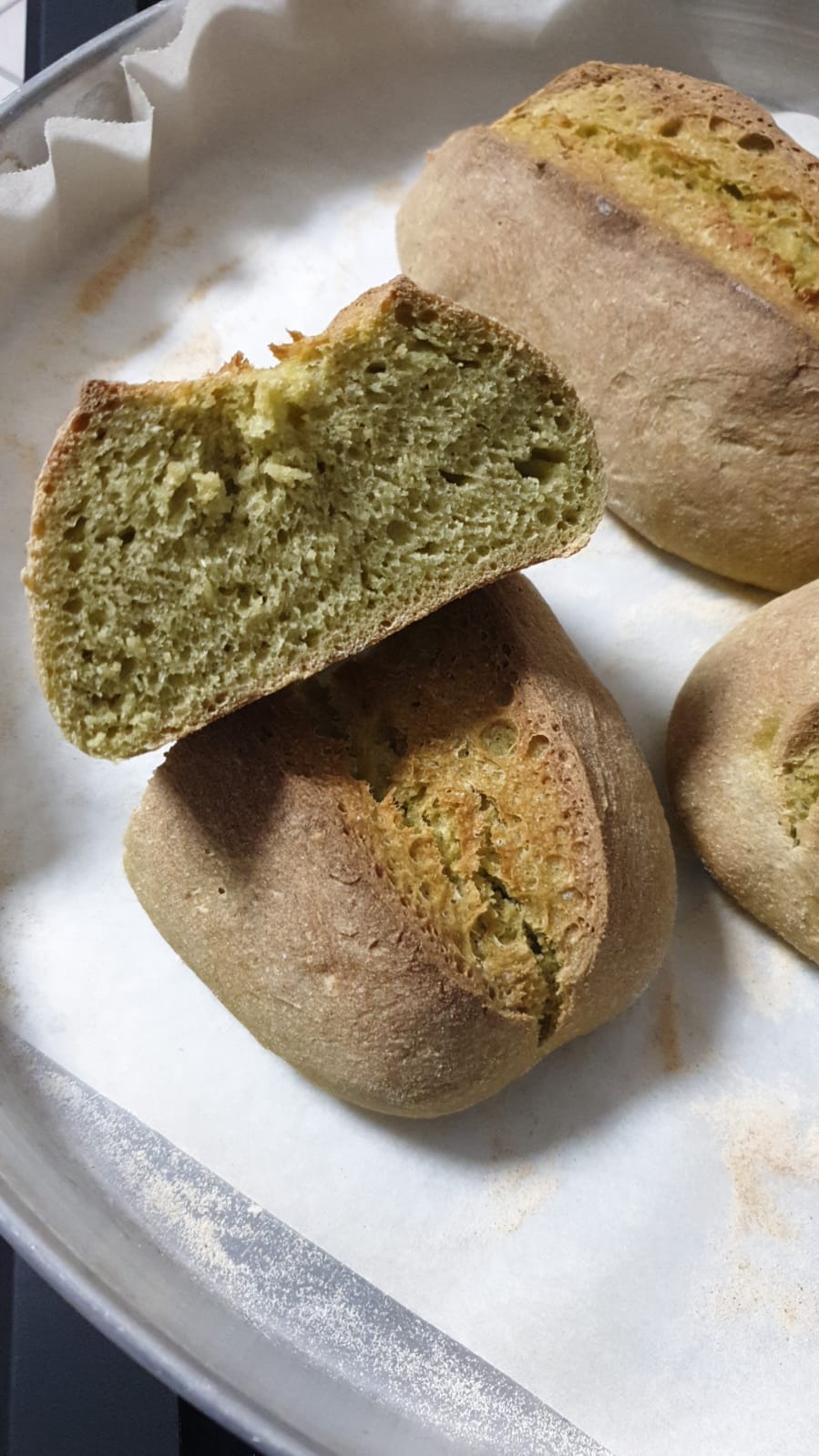 How to make Nopal Flour - dryGrow Foundation